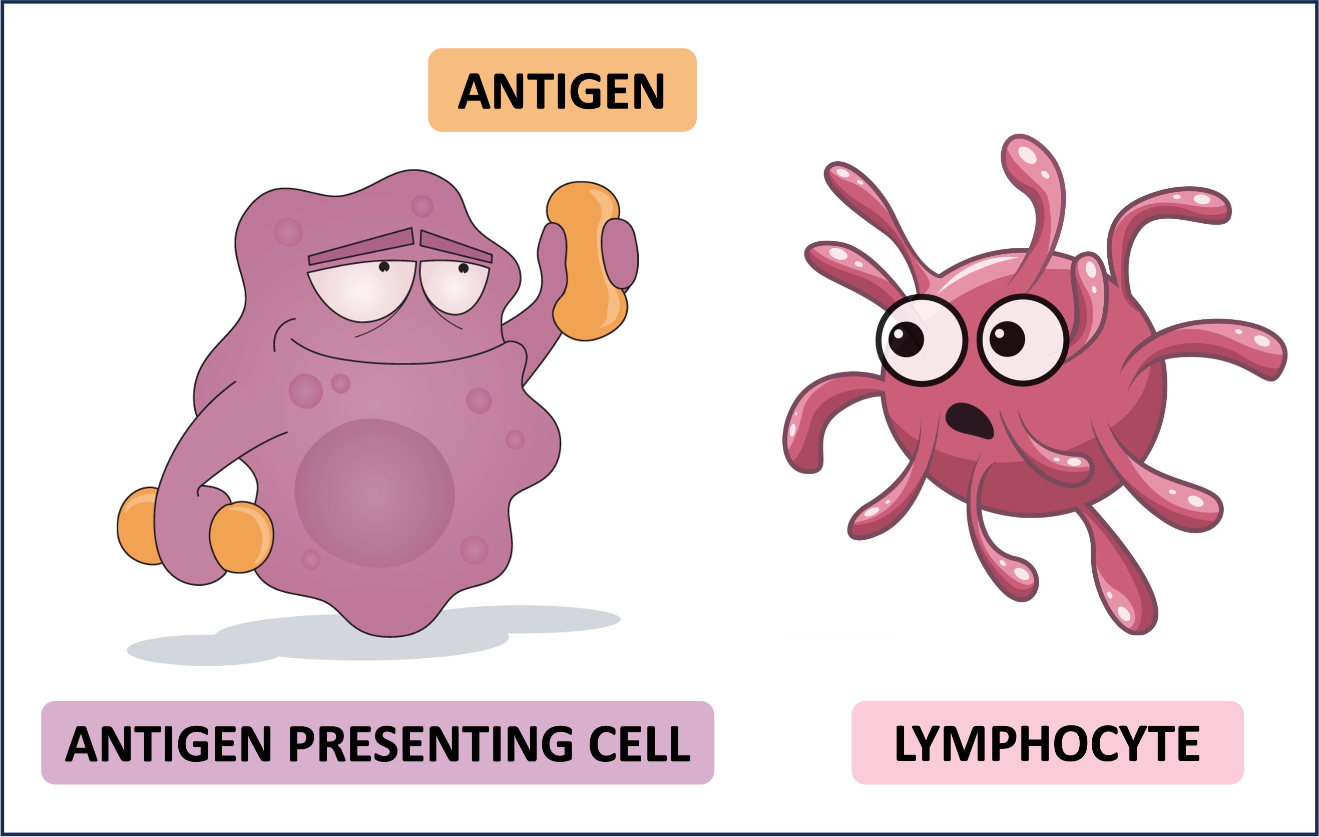 Antigens 9429